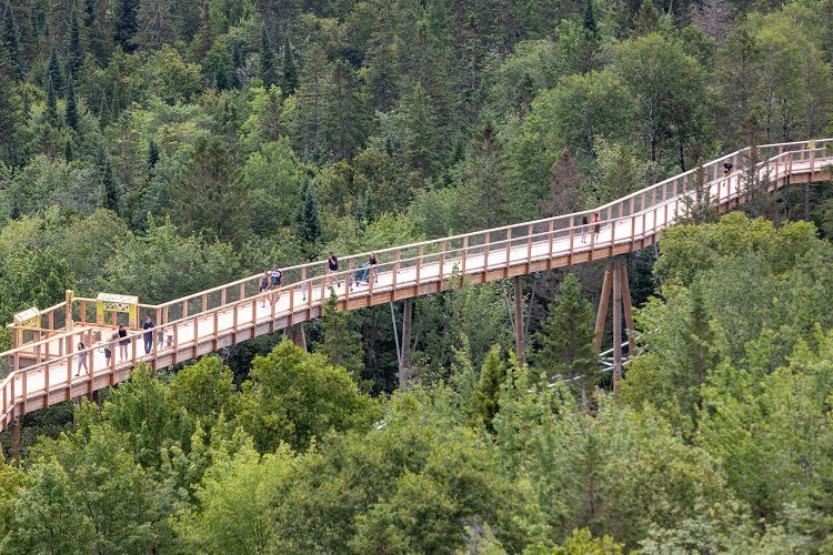 Sentier des cimes Laurentides welcomes visitors from July 24 - Laurentides