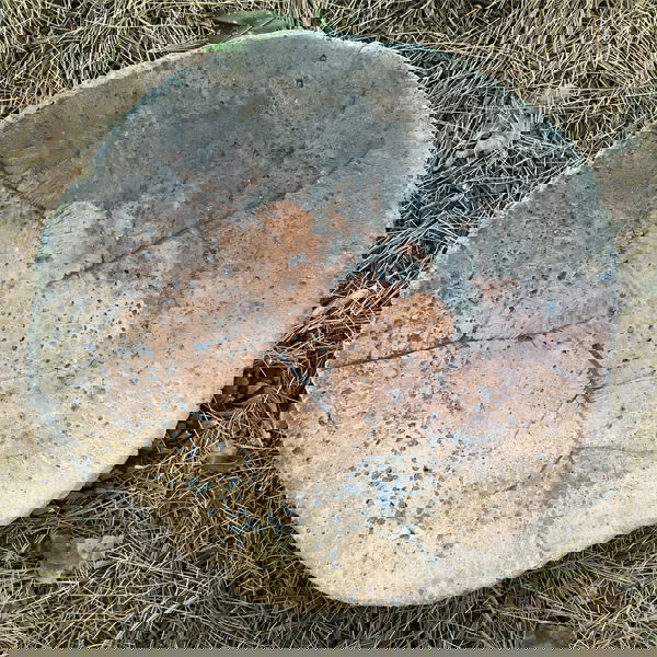 Sous mes pieds by Robin Hutchinson - Laurentians