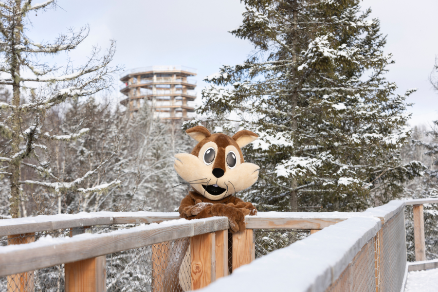 What to do from March 21 to 23 in the Laurentians? - Laurentians