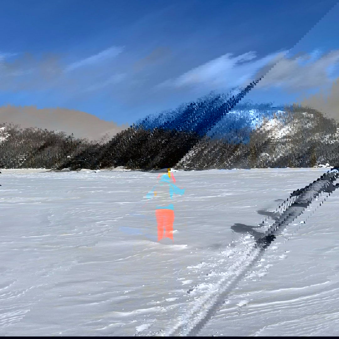 Nordic skiing, from village to village, on the Routes Blanches trails ...